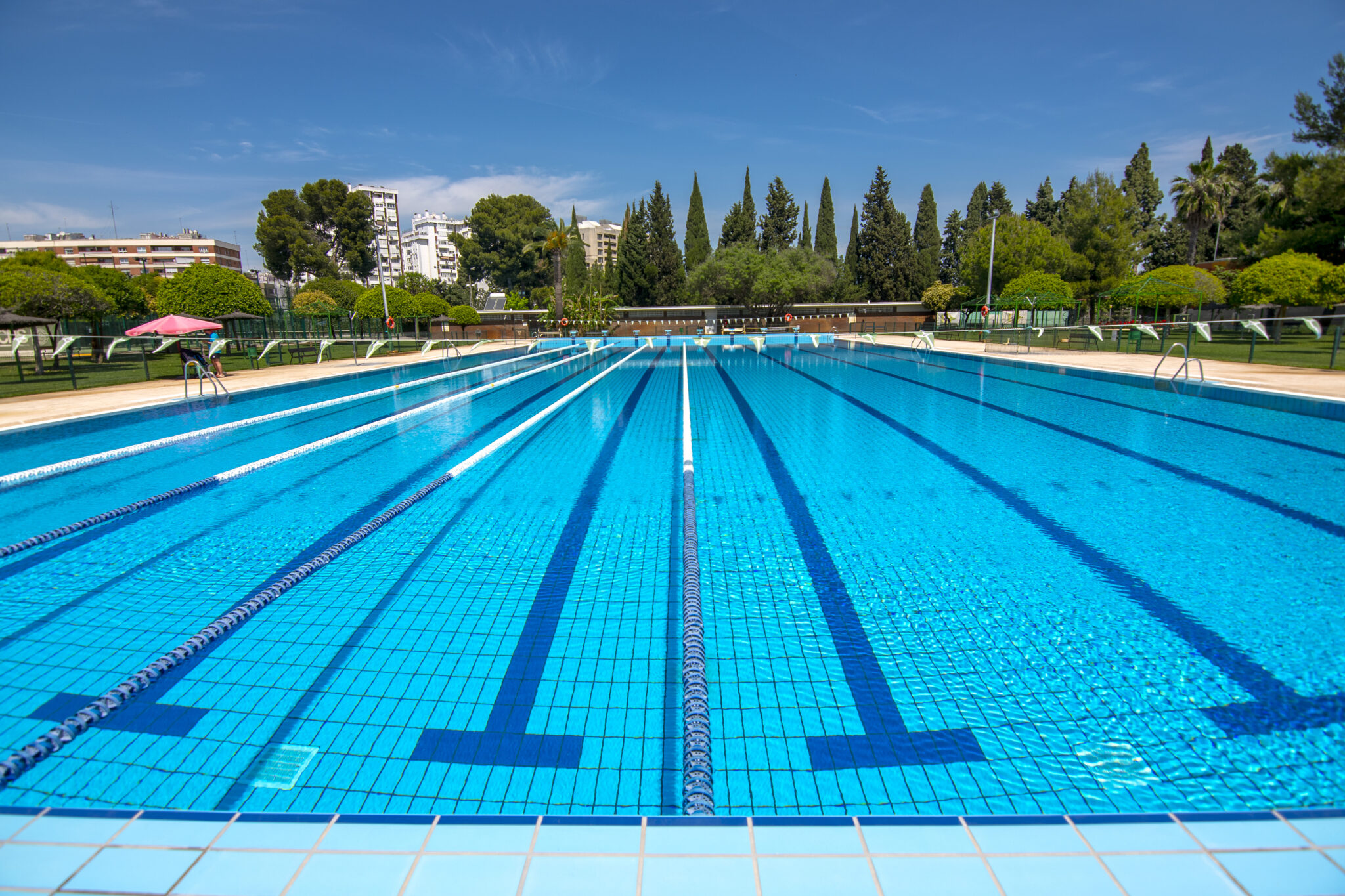 Apertura de la piscina olímpica del Club Náutico Sevilla - Club Náutico ...